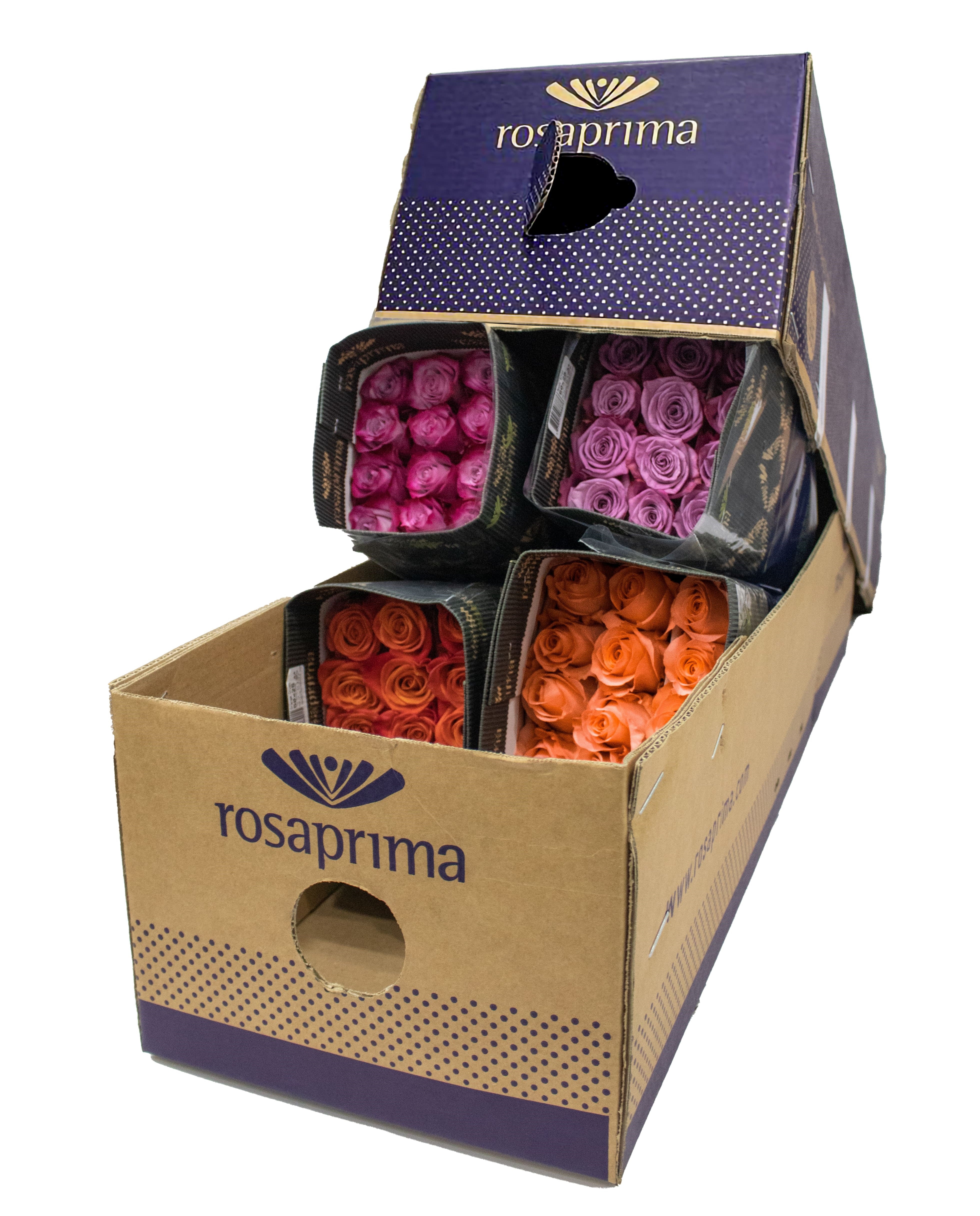 Rosaprima Bulk box – FriendsandFamily-Rosaprima